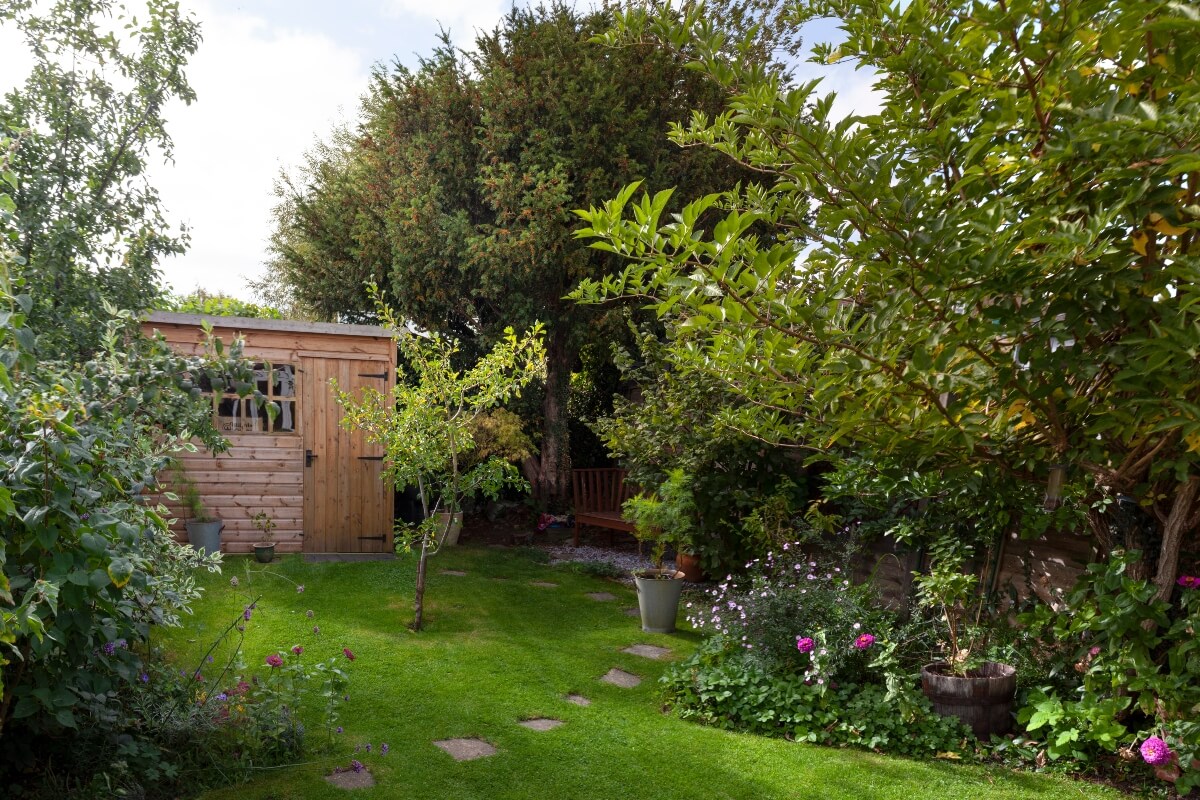 Kitchen and Vaulted Garden Room - Clare Nash Architecture
